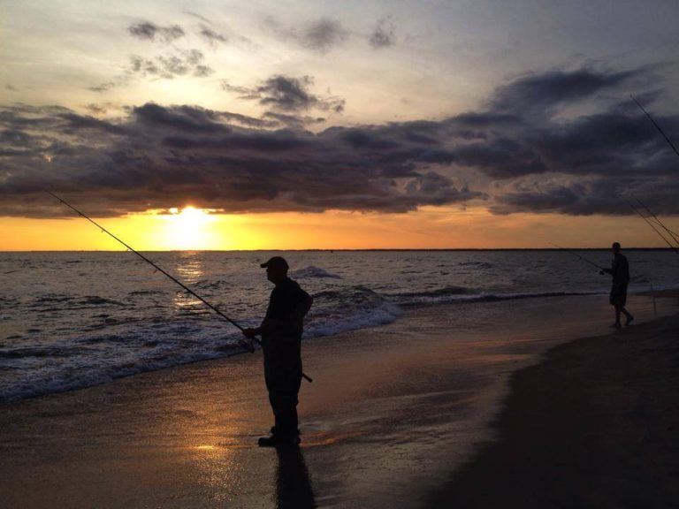 Surf Fishing ⋆ Frisco Rod & Gun
