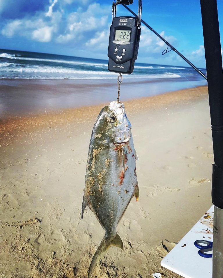 Surf Fishing ⋆ Frisco Rod & Gun